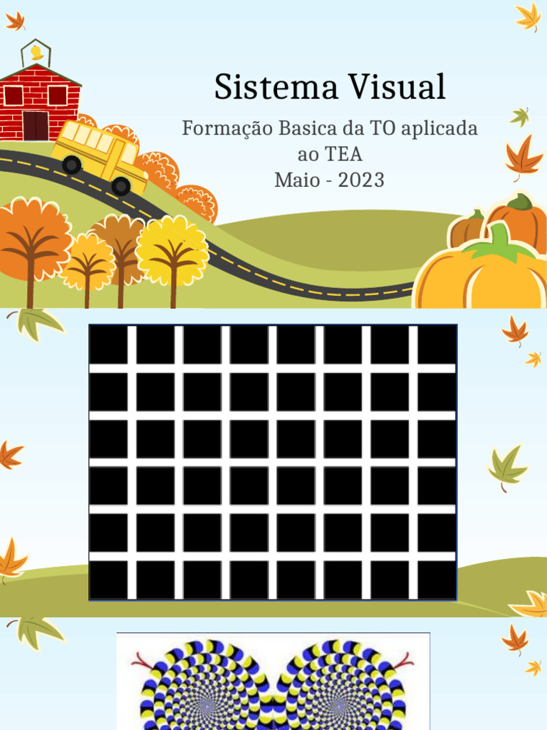 Sistema Visual e Auditivo no TEA | PDF | Audição | Orelha