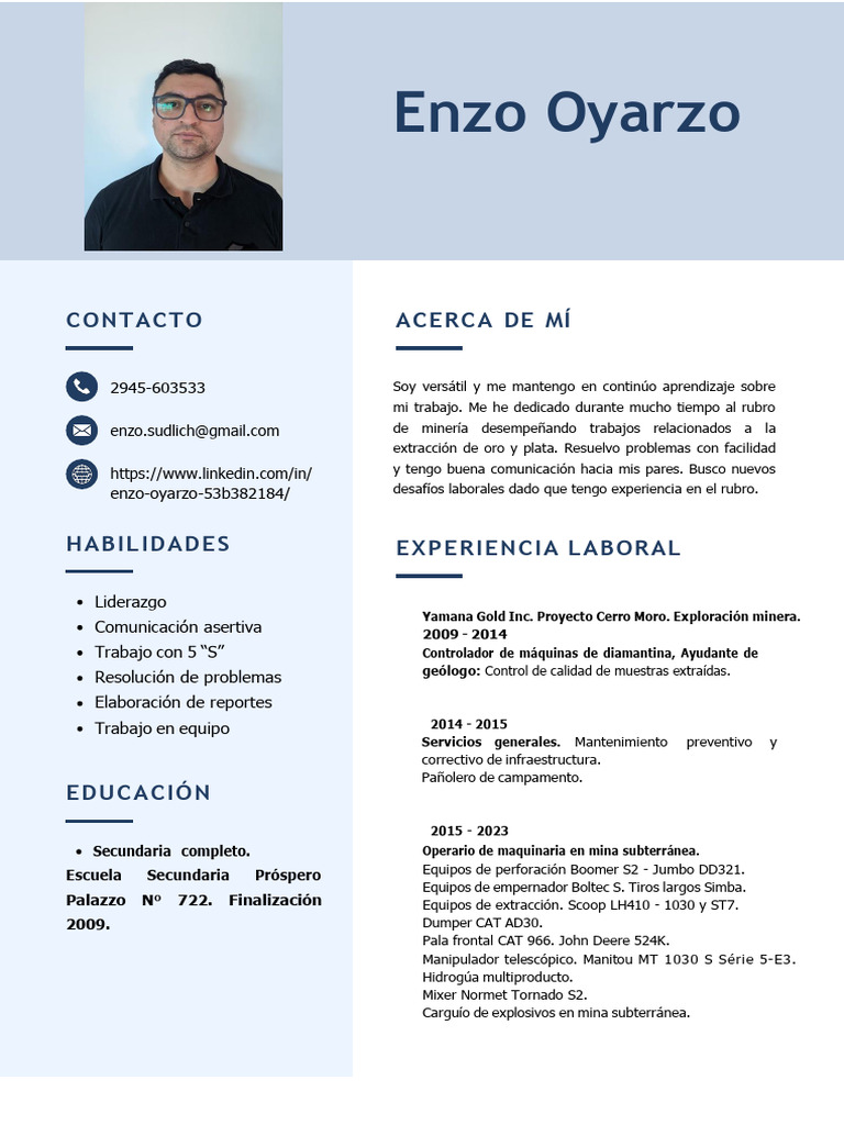 Cv. Enzo Oyarzo | PDF