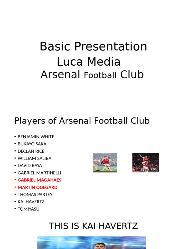 Basic Presentation | PDF