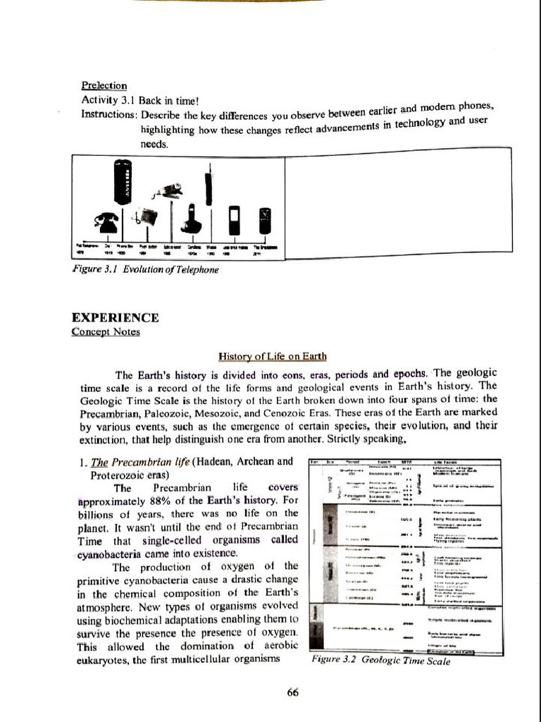 History of Life on Earth Overview | PDF | Genetics | Natural Selection