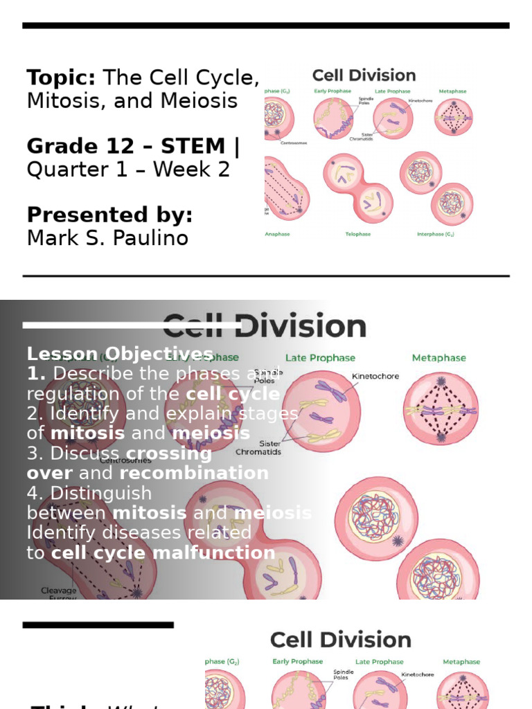 Week 2 The Cell Cycle Mitosis and Meiosis | PDF | Meiosis | Mitosis