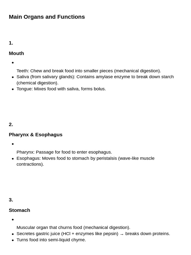 Main Organs and Functions | PDF