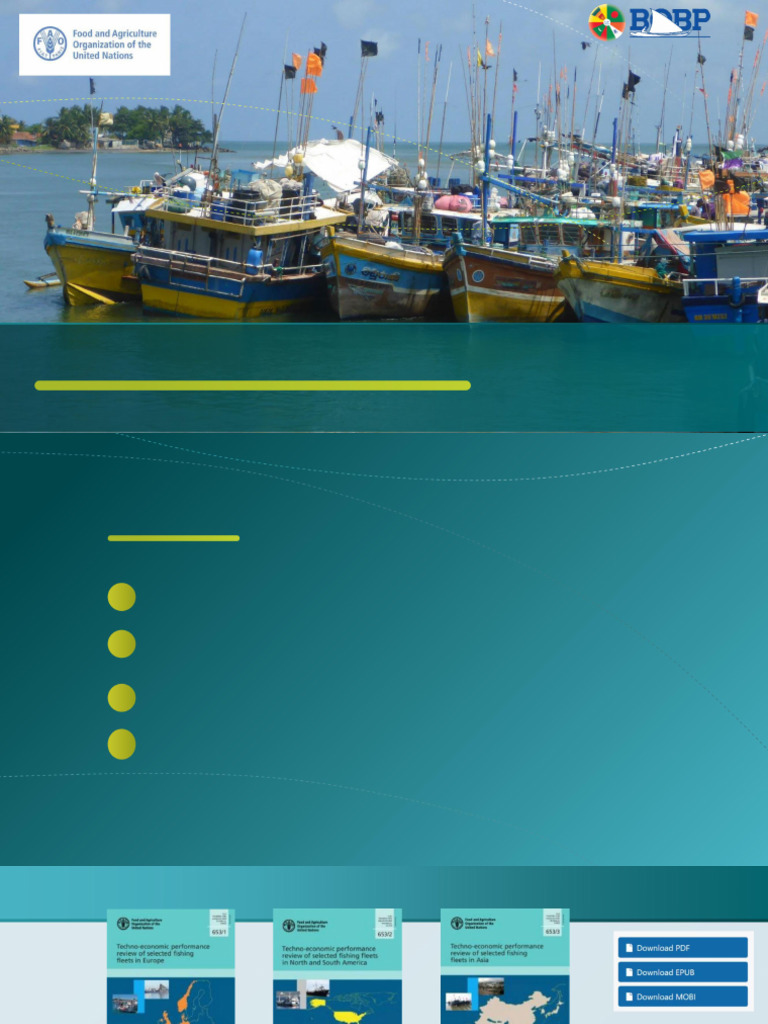 Presentation On Findings FAO | PDF