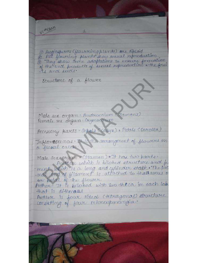 Class 12th CH 2 PDF - Watermark | PDF
