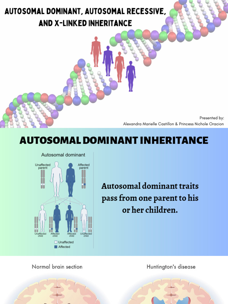 Inheritance Patterns: Dominant, Recessive, X-Linked | PDF | Genetic ...