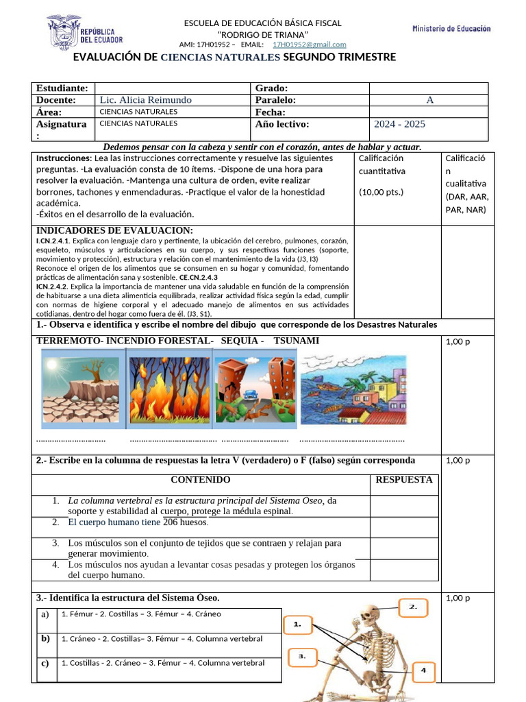Examen-Ccnn-2do Trimentre 2025 Ali | PDF | Sistema digestivo humano | Anatomía