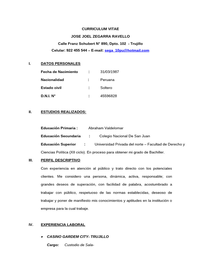 CV jOE | PDF