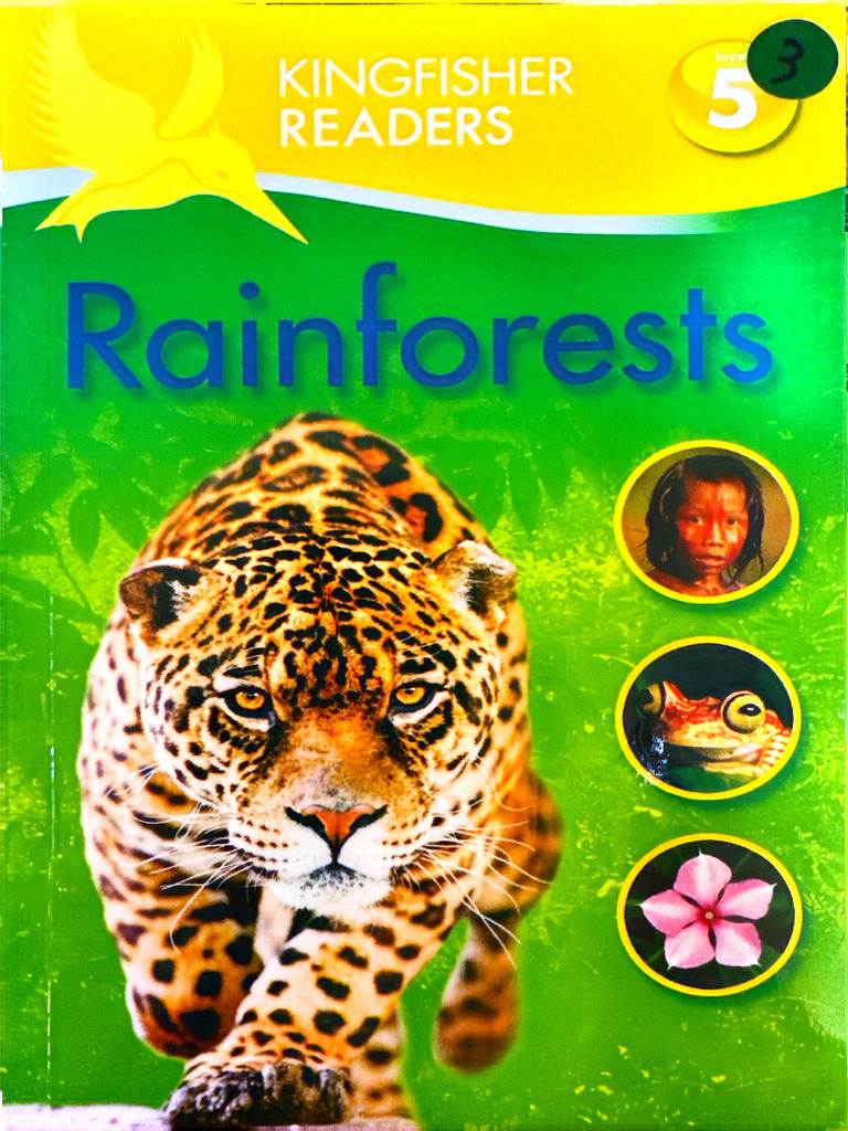 Reader Rainforests | PDF