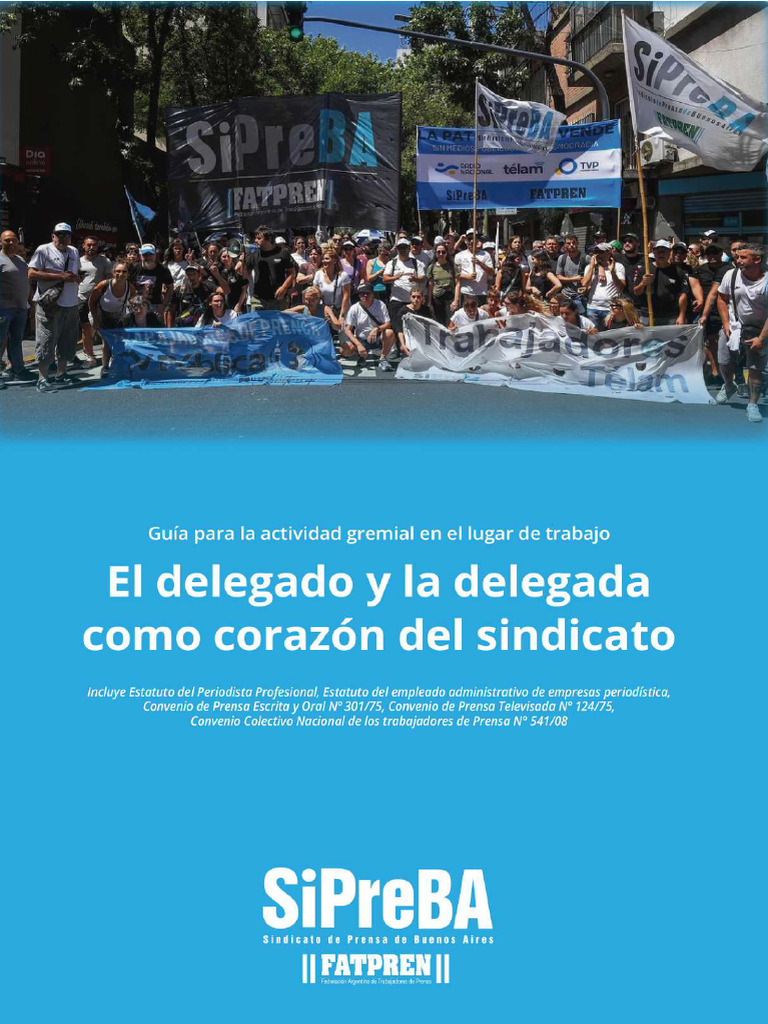 2024 Guia Del Delegado y La Delegada SIPREBA Ed Web Compressed | PDF ...