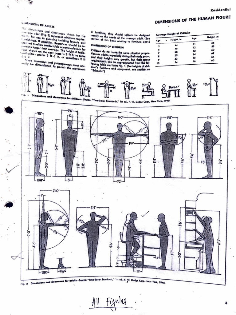 Human Figure Dimensions Overview | PDF