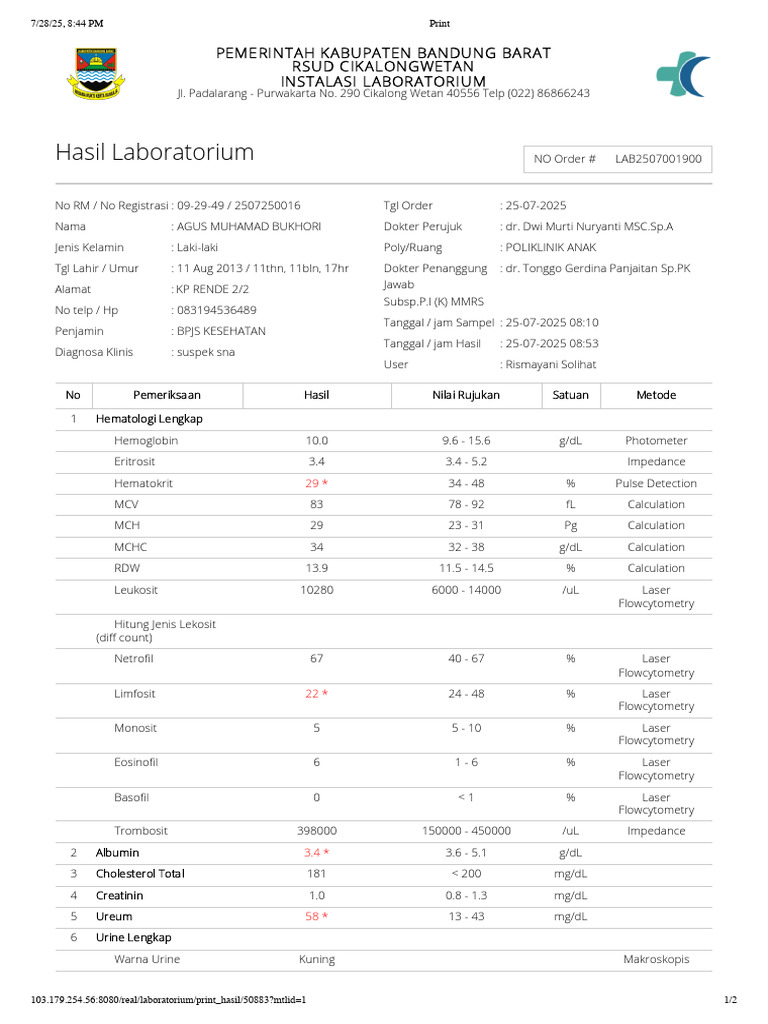 Hasil Laboratorium Agus Bukhorii 2025 | PDF