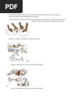 Grade 7 Technology: Structures Worksheet | PDF | Gear | Paper