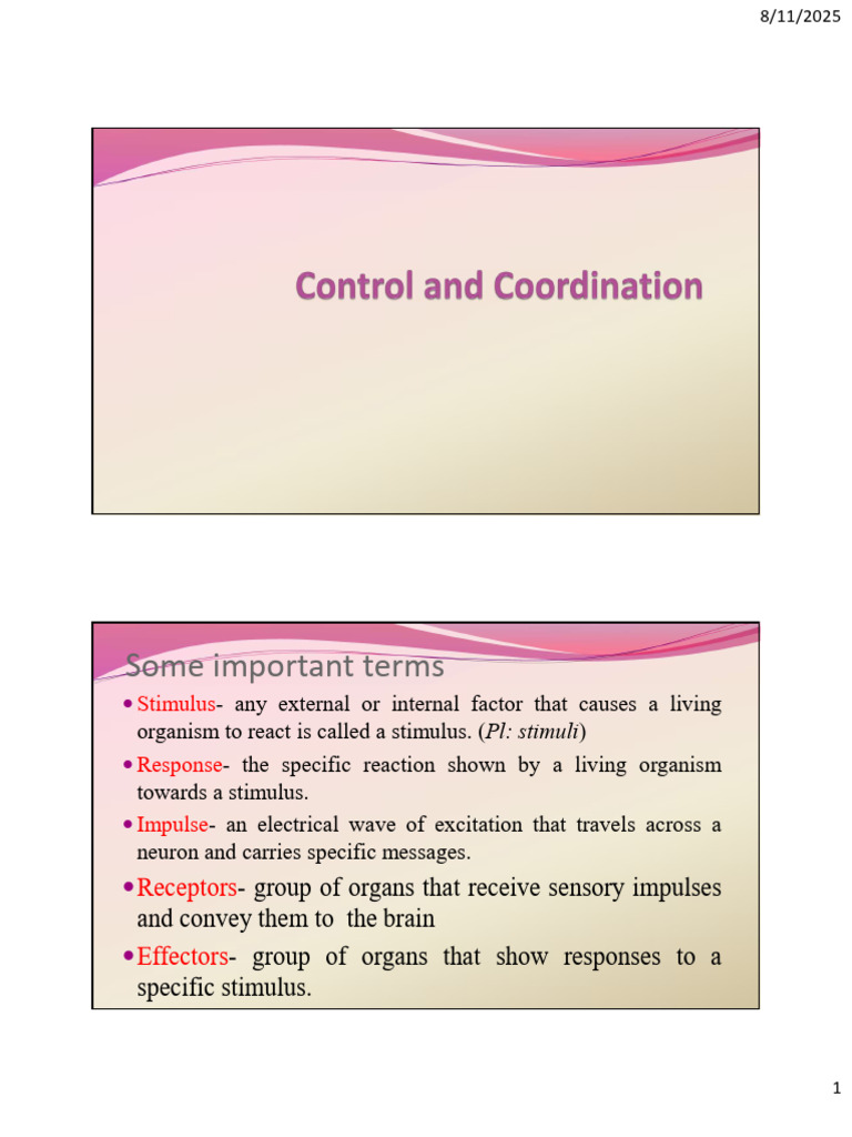 Control and Coordination | PDF | Neuron | Nerve