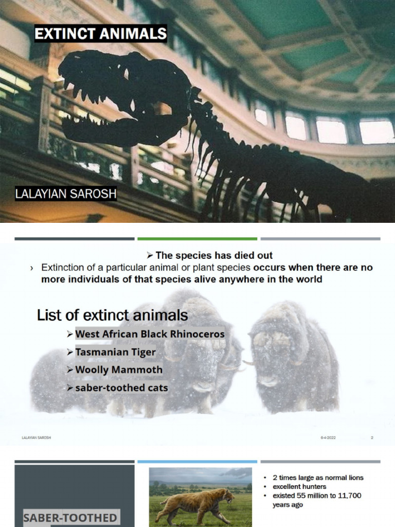 Extinct Animals | PDF