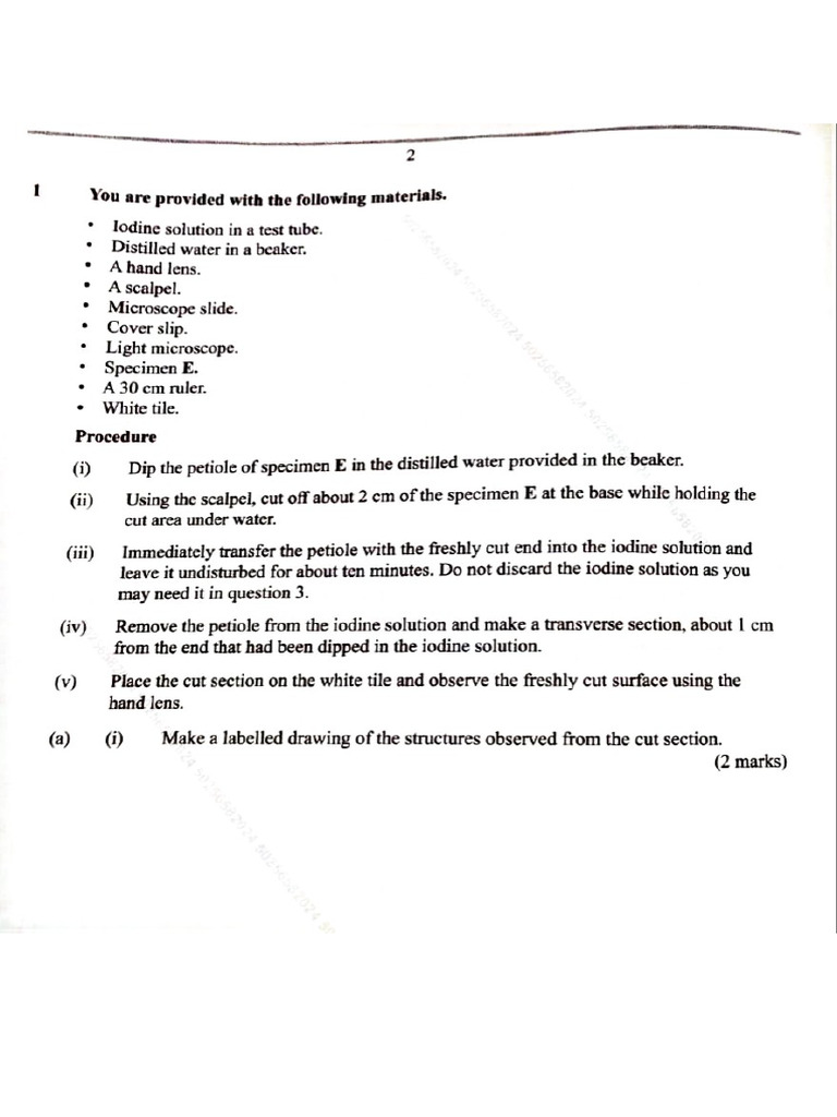 Kse 2024 Bio Pp3 | PDF