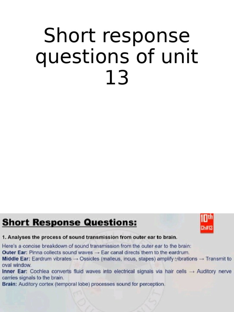 Short Response-Questions of Unit 13 | PDF