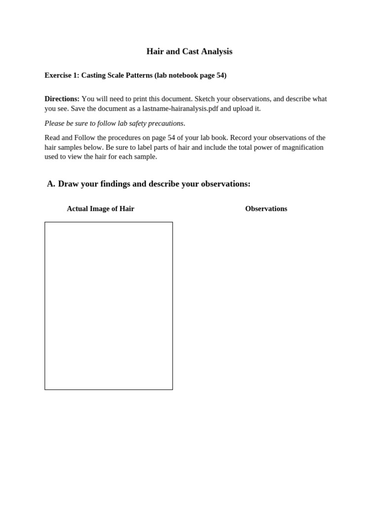 Hair and Cast Analysis 2 | PDF