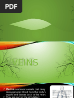 Understanding Batson's Plexus Anatomy | PDF | Vertebra | Vein