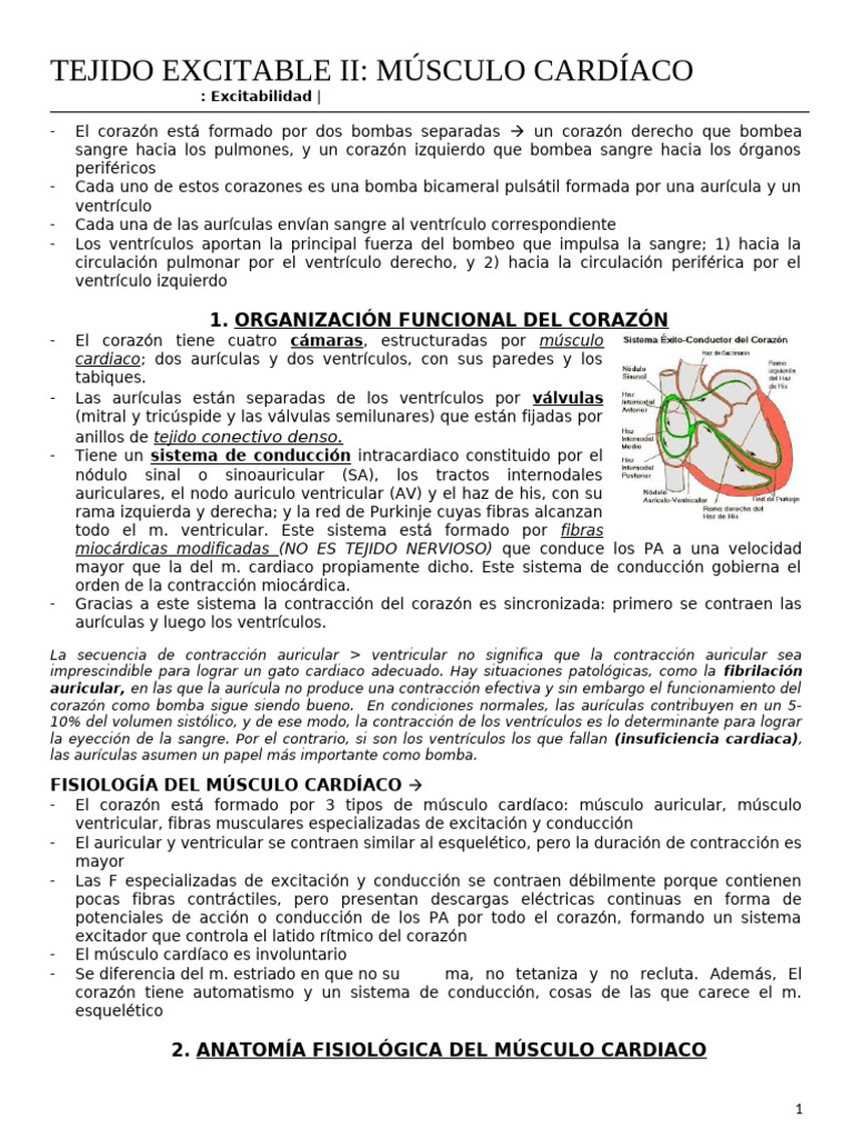 Cronotropismo en el músculo cardíaco | PDF | Corazón | Ventrículo (corazón)