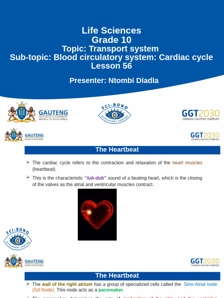 Life Sciences Gr.10 Lesson 56 Transport System Blood Circulation System ...