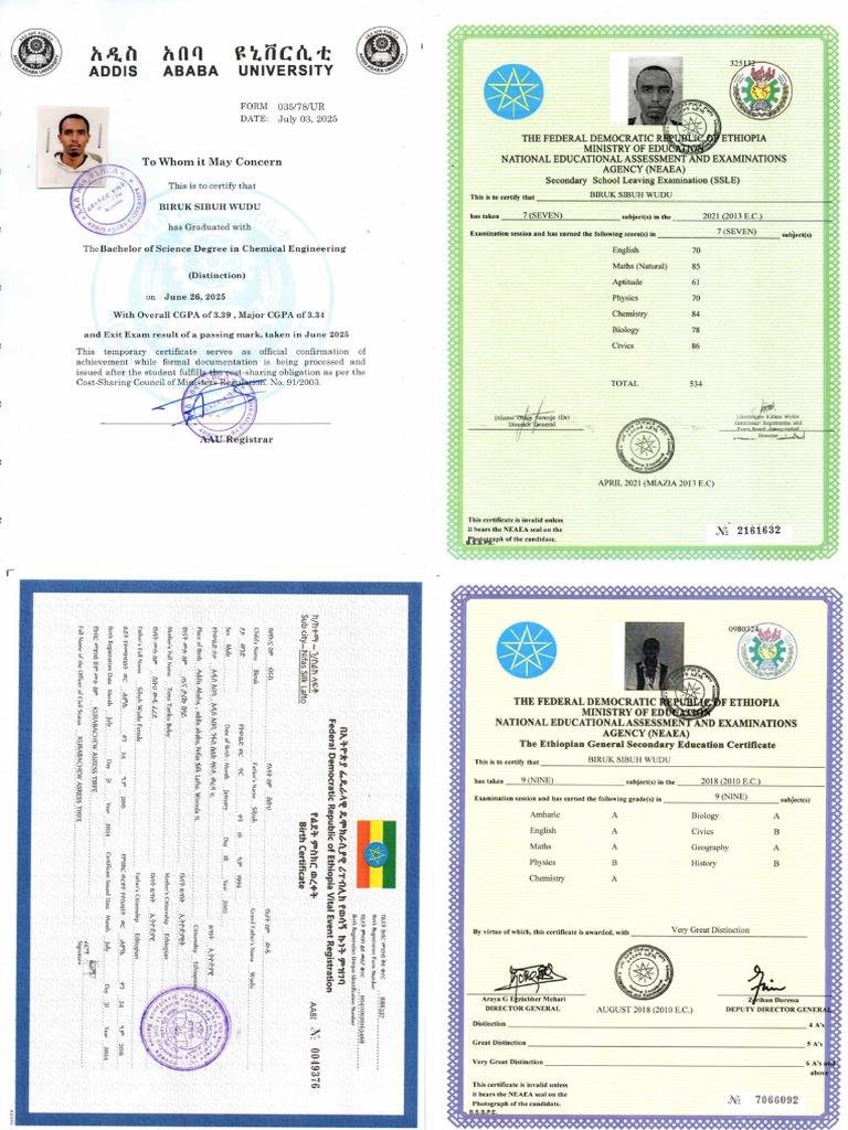 Birth and Edu Certificate - Compressed | PDF