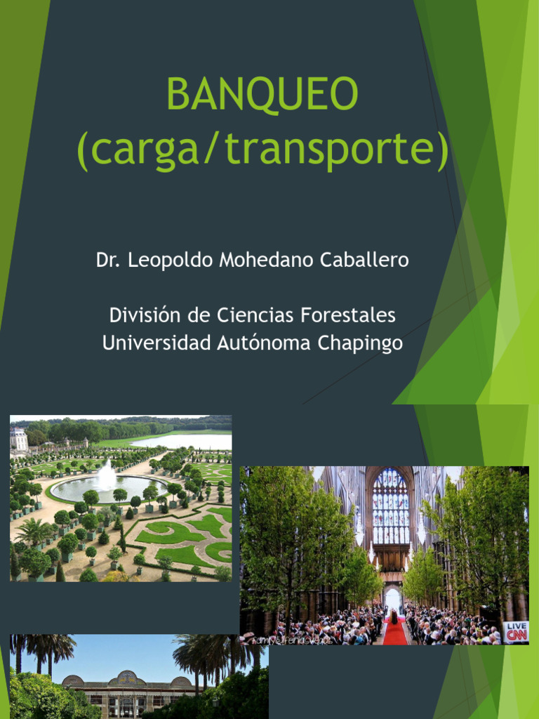 Banqueo y transporte de árboles | PDF