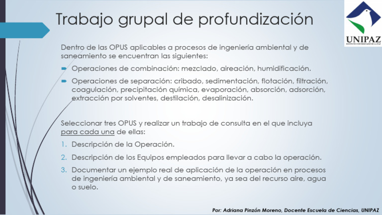Clase 2. Trabajo de Consulta Grupal - Profundización | PDF
