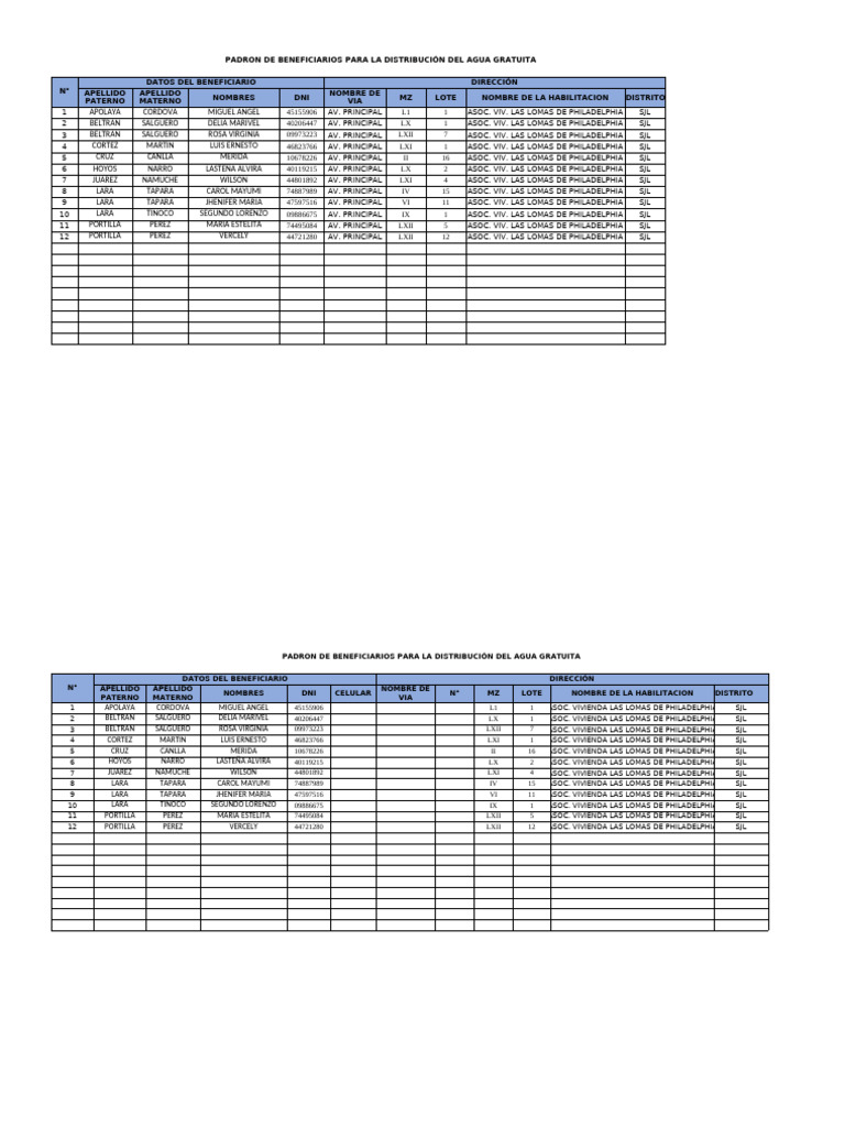 Padron de Beneficiarios - Modelo | PDF