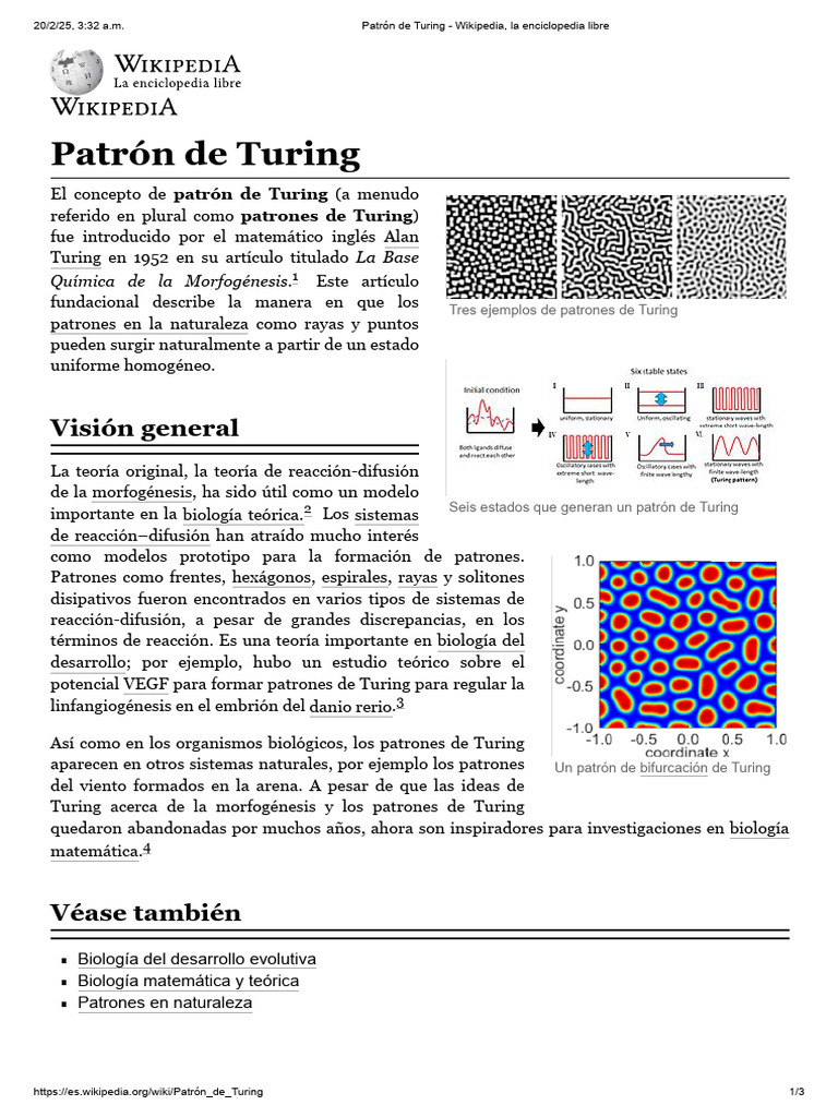 Patrón de Turing - Wikipedia, La Enciclopedia Libre | PDF | Autoorganización | Ciencia de sistemas