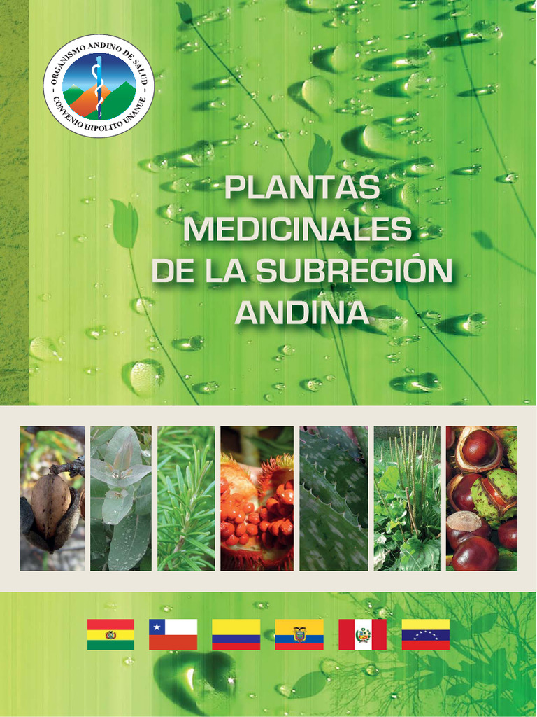 Libro Plantas Medicinales de La Región Andina | PDF | Plantas ...