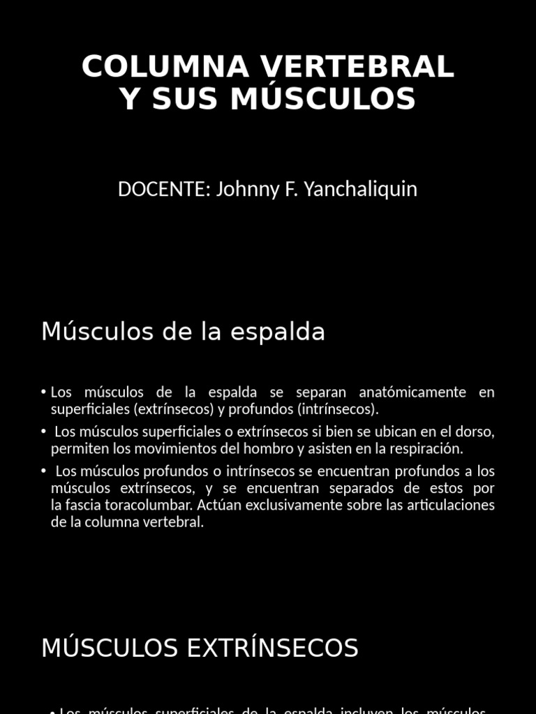 Músculos de la Columna Lumbar | PDF | Vértebra | Anatomía de los primates