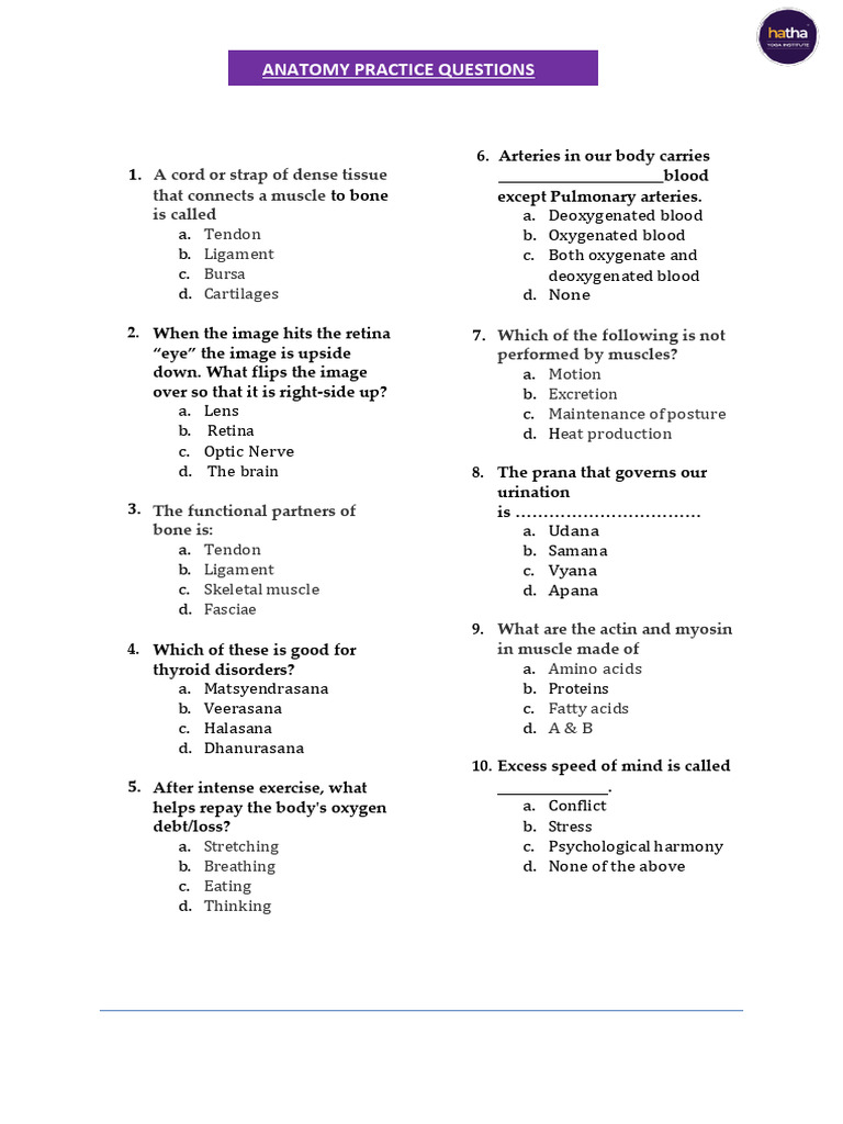 Anatomy Extra Ques | PDF | Respiratory System | Heart