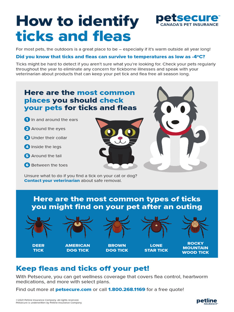 News How To Identify Ticks Fleas Petsecure Poster | PDF | Zoology ...