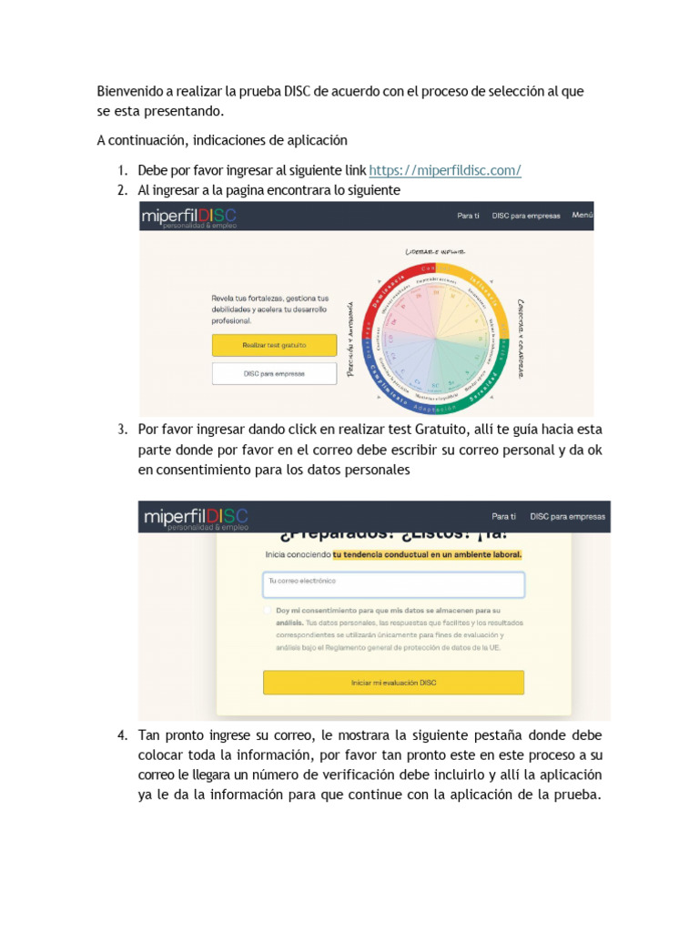Instructivo Prueba Disc | PDF