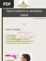 Anatomia Do Nariz e Seios Da Face | PDF | Sistema Esquelético | Otorrinolaringologia