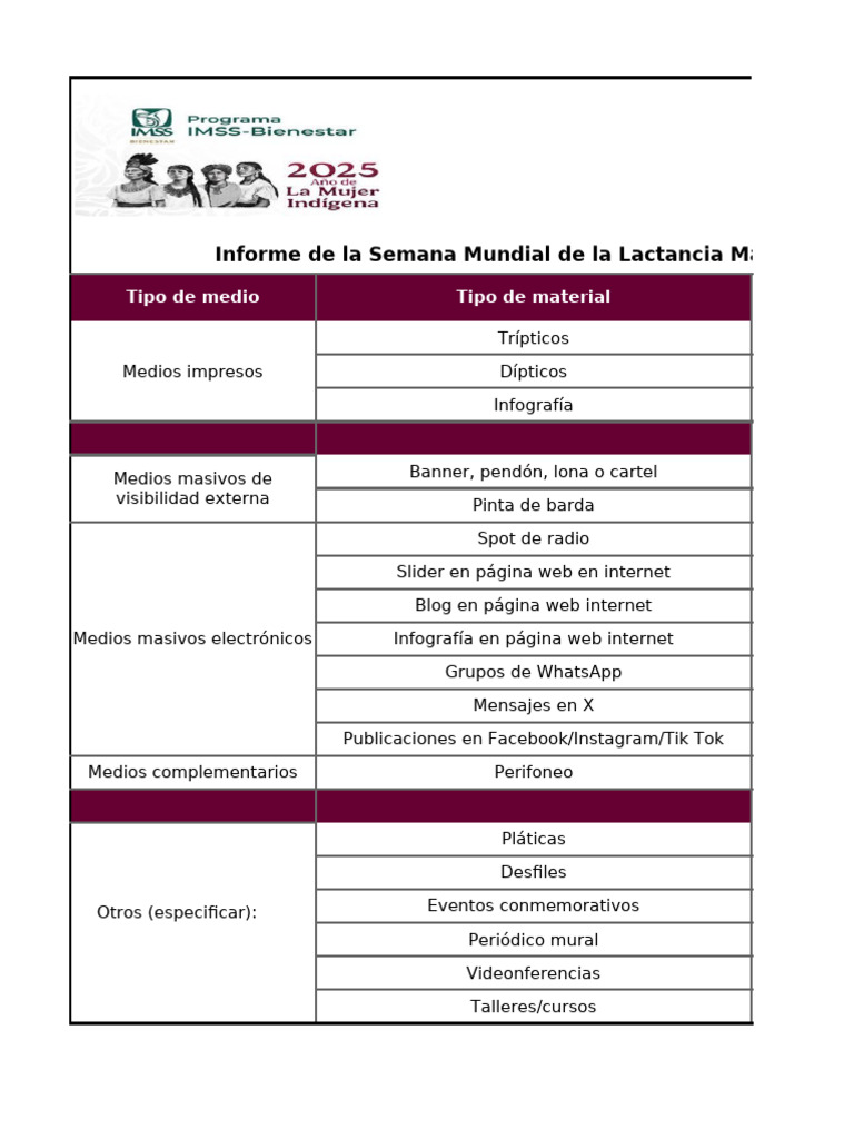 Reporte SMLM - 2025 Sca | PDF