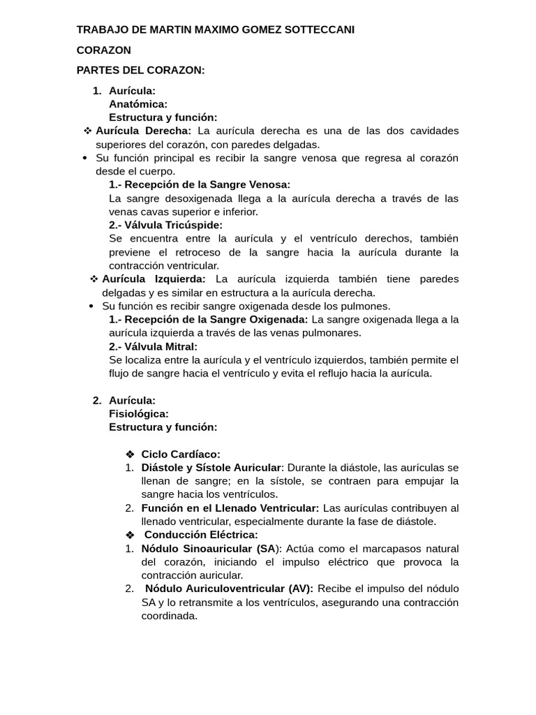 Trabajo - Martin Maximo | PDF