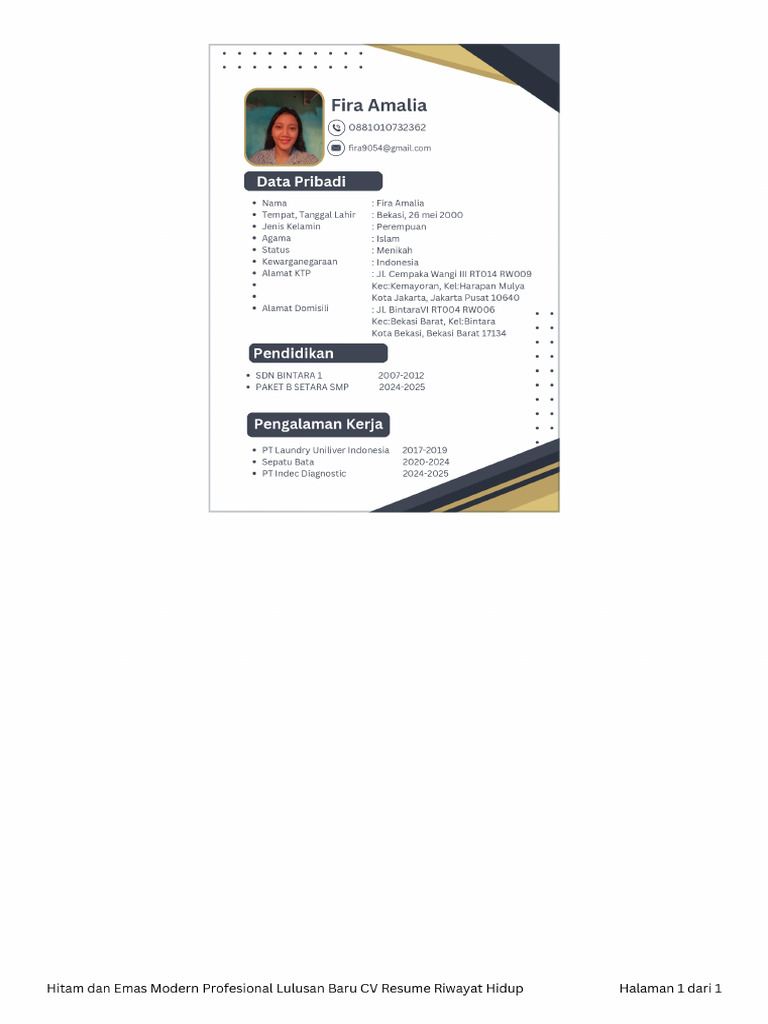 CV Fira Amalia | PDF