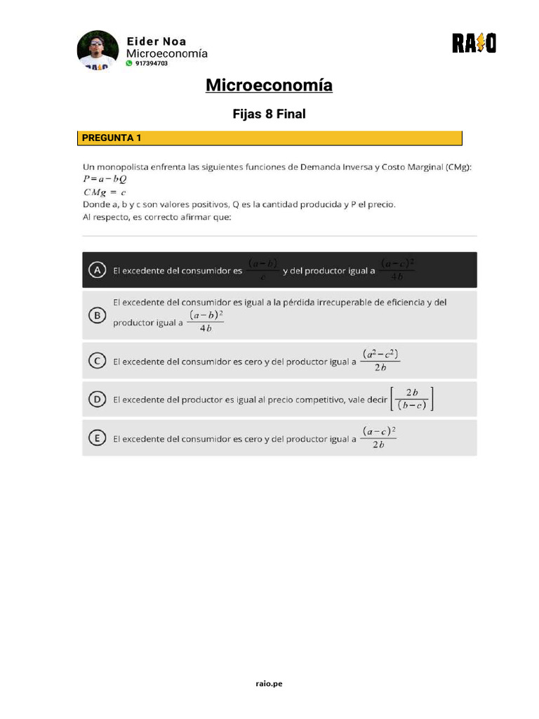 Microeconomia Fijas 8 Final Raio 2025 | PDF | Microeconomía | Monopolio