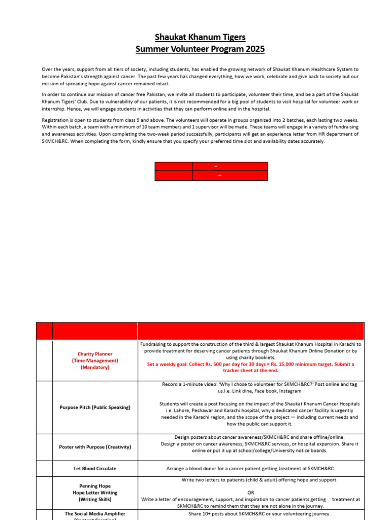 Summer Volunteer Program 2025 | PDF
