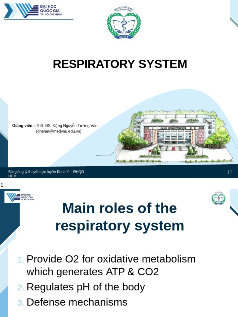 Negative Pressure Breathing Explained | PDF | Respiratory Tract | Lung