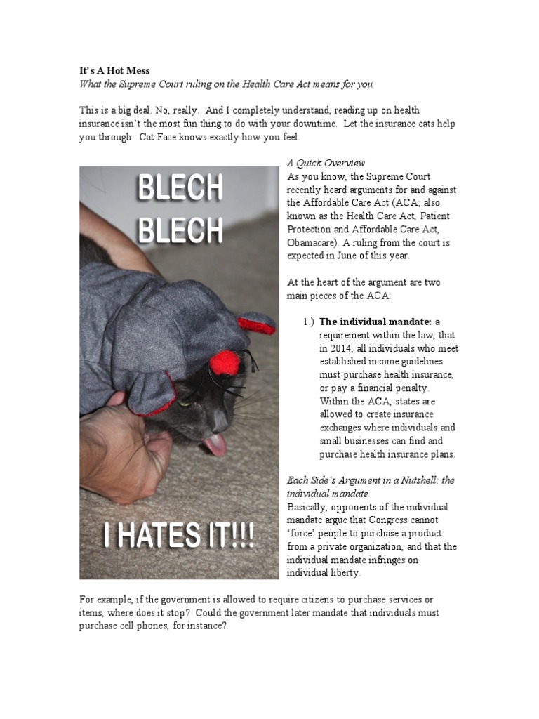 It - S A Hot Mess-1 | PDF | Patient Protection And Affordable Care Act ...