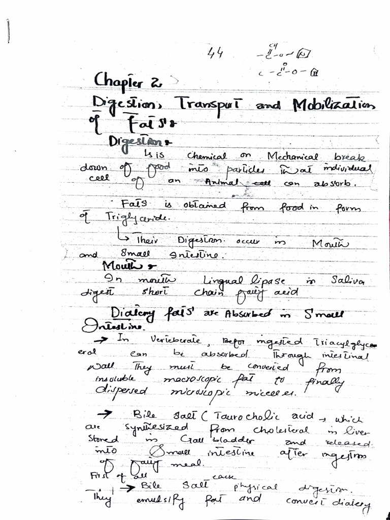 Biochemistry by Sakhi | PDF
