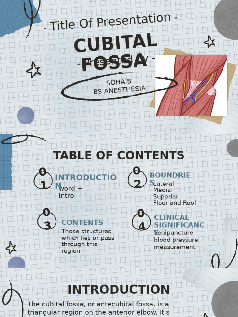 Understanding the Cubital Fossa Anatomy | PDF