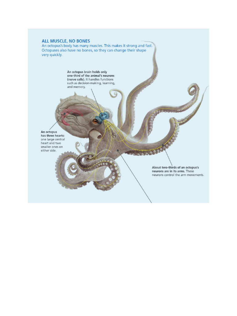 Unit 1 - Reading Explorer 1 3rd Ed | PDF