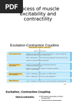 Steps of the Cross Bridge Cycle | PDF | Muscle Contraction ...