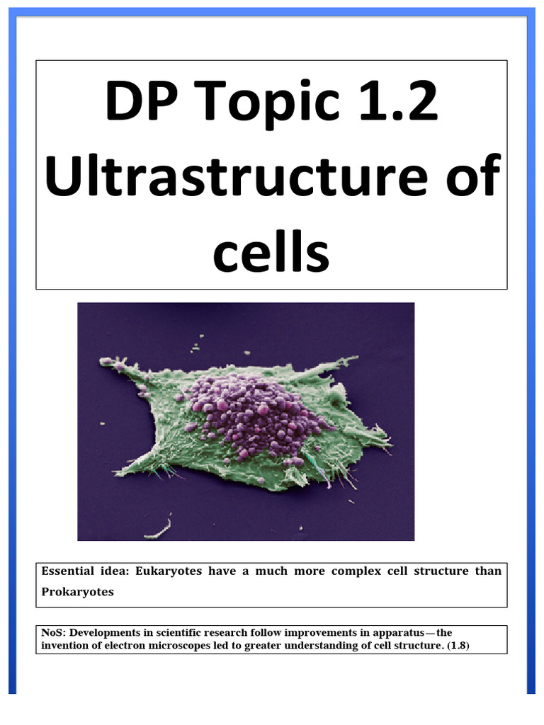 Ultrastructure of Prokaryotic vs Eukaryotic Cells | PDF | Cell (Biology ...