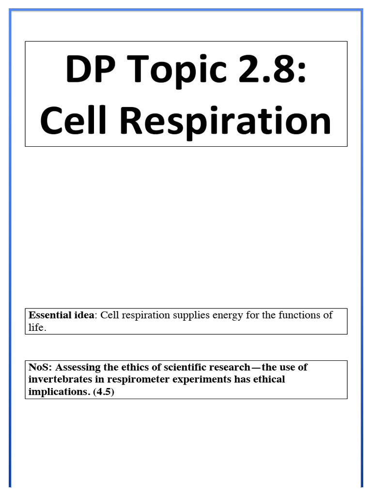 DP Topic 2.8 Workbook | PDF | Cellular Respiration | Biology