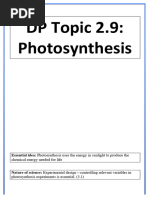 Dibels - 8 - Maze - G4 - PM Key Booklet | PDF