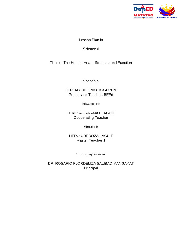 (Template) Detailed Lesson Plan Template For Final Demonstration ...